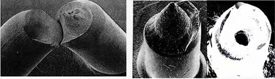 11 Causes Of Copper Wire Breakage