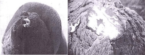 11 Causes Of Copper Wire Breakage