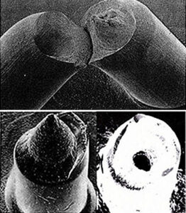 11 Causes Of Copper Wire Breakage